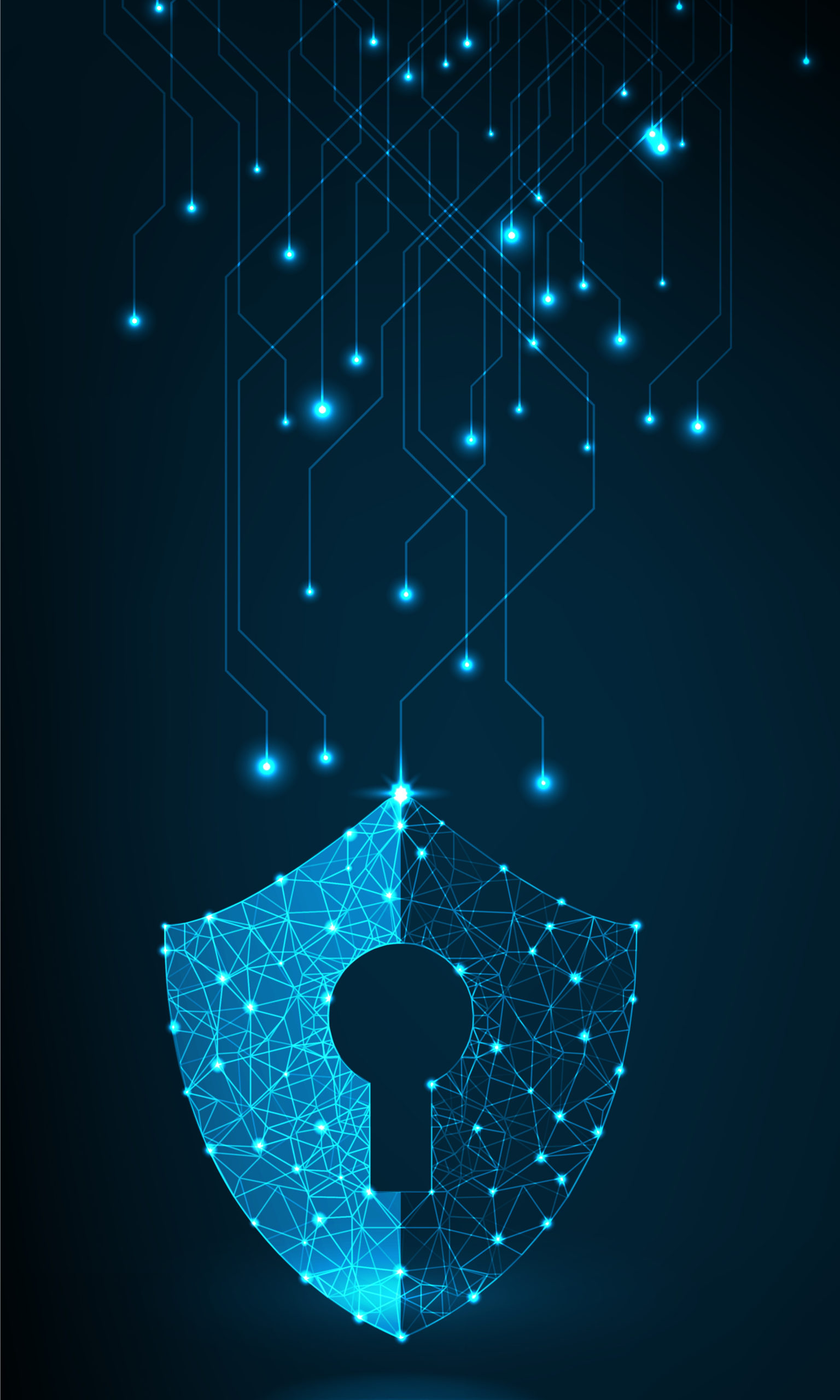 Programmation - ELSIL SAS